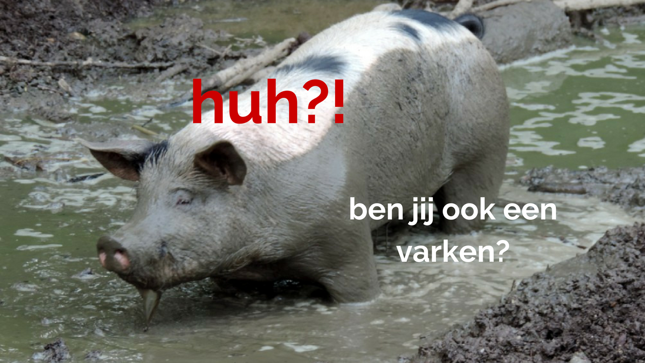 Blog: Ben jij een varken? (uit de shit, keuzes maken) - koen sieben